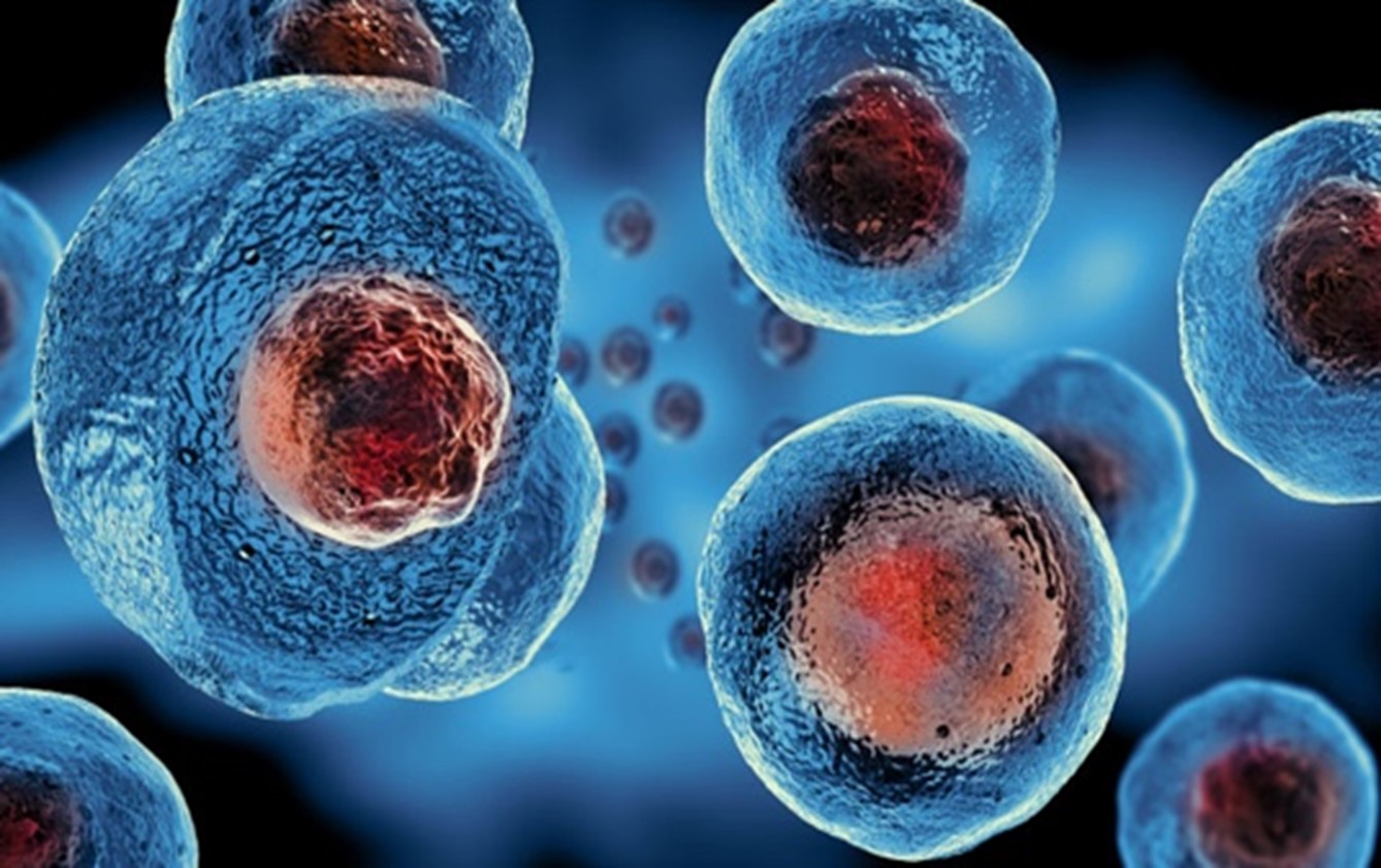 Stem Cells injection - MD Ageless Solutions